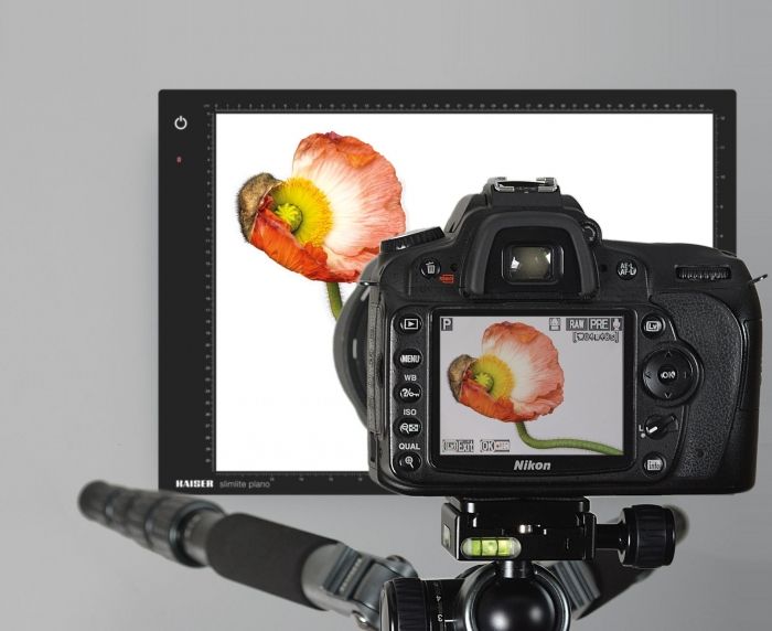 Kaiser 2455 LED-Leuchtplatte slimlite plano 5000 K 42,9x30,9cm - Foto ...