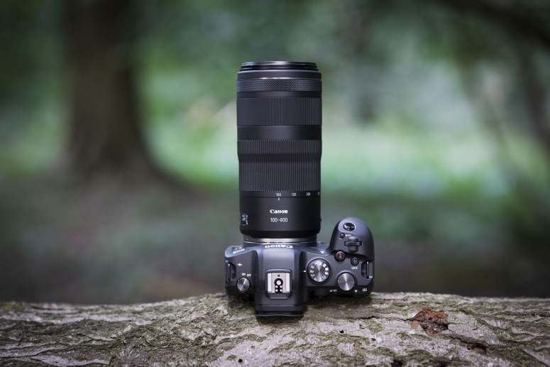 Canon RF 100-400mm f5.6-8 IS USM - Foto Erhardt