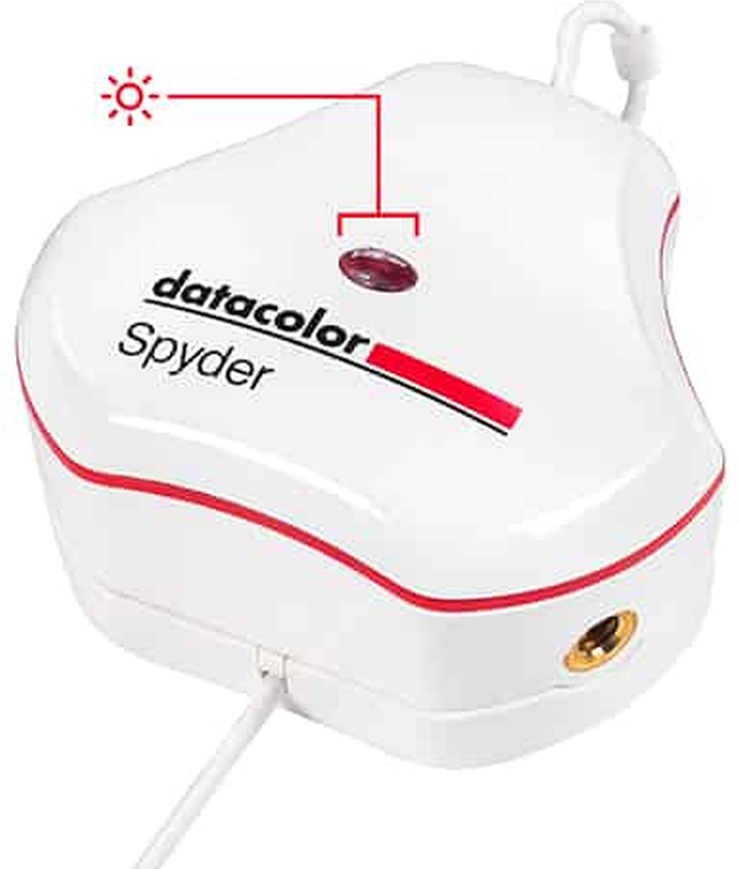 Datacolor Spyder Celebration Kit - Foto Erhardt