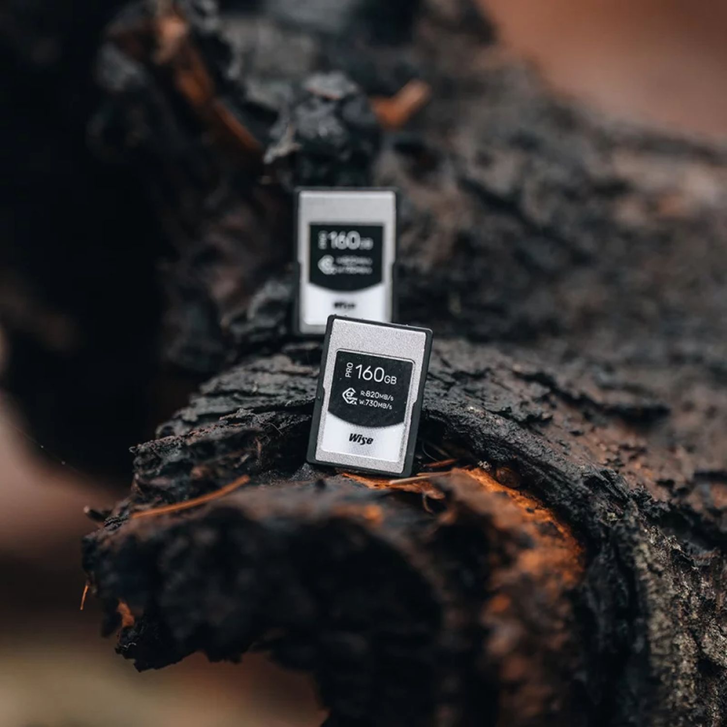 Wise Advanced CFexpress Type A Pro 160GB - Foto Erhardt