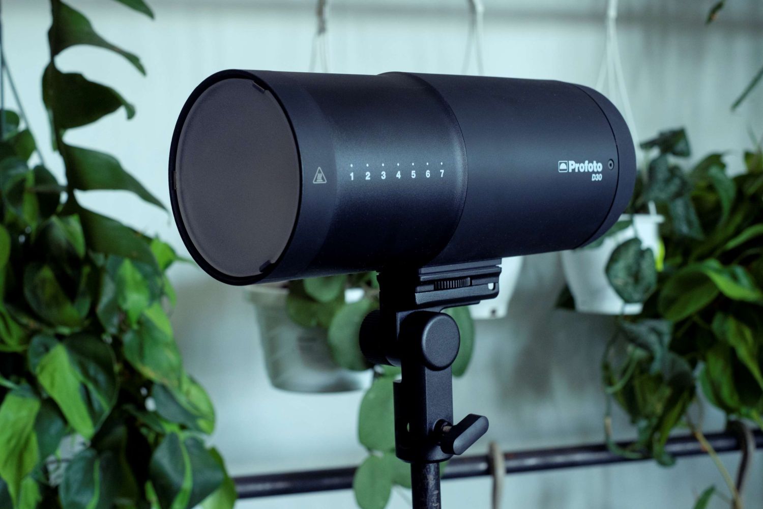 Profoto D30 compact flash - Foto Erhardt