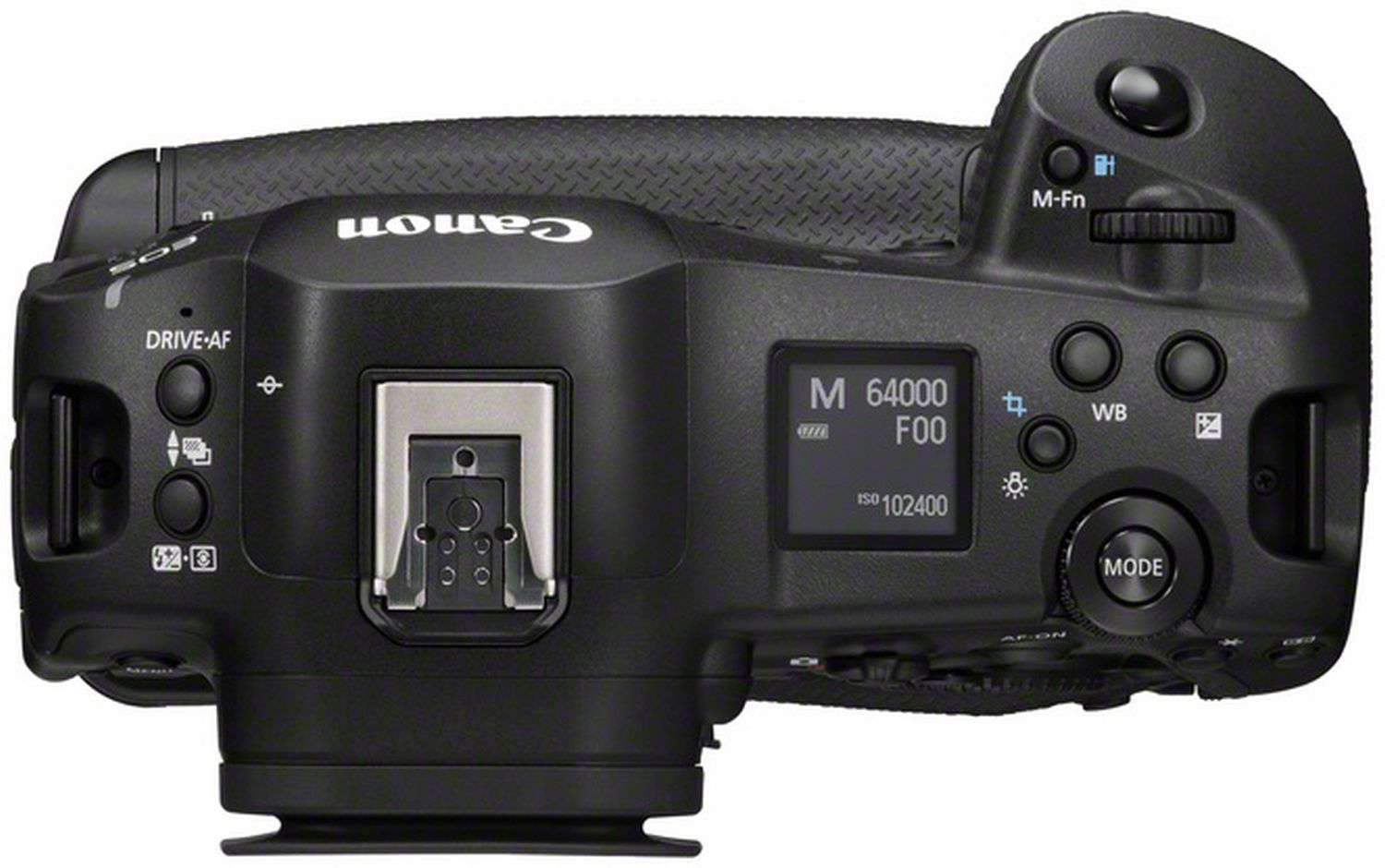 Canon EOS R1 + RF 800mm f5,6 L IS USM - Foto Erhardt