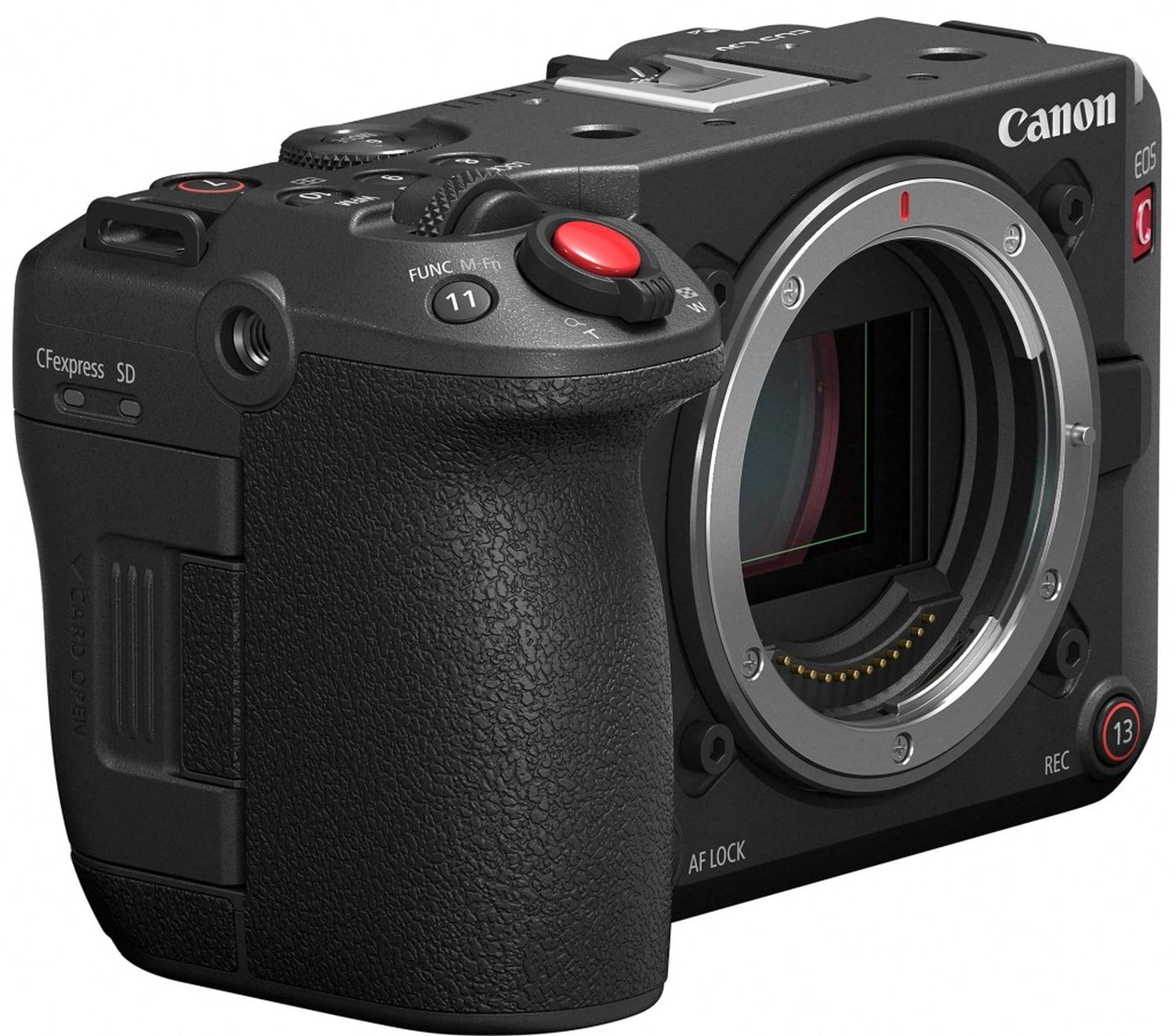 Canon EOS C50 + Bajonettadapter EF-EOS auf EOS R 0,71x - Foto Erhardt