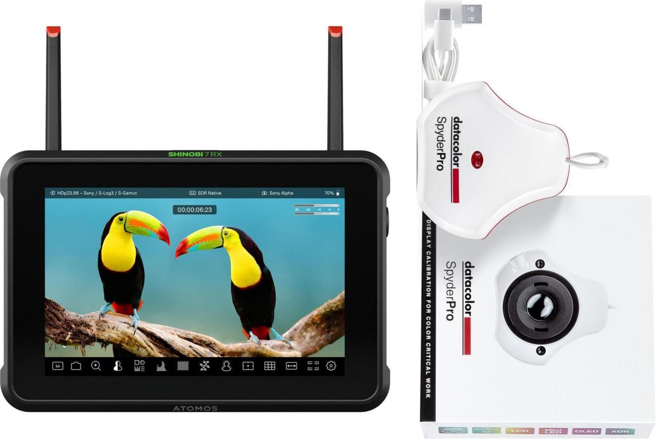 Atomos Shinobi 7 RX HDR + Datacolor Spyder Pro - Foto Erhardt