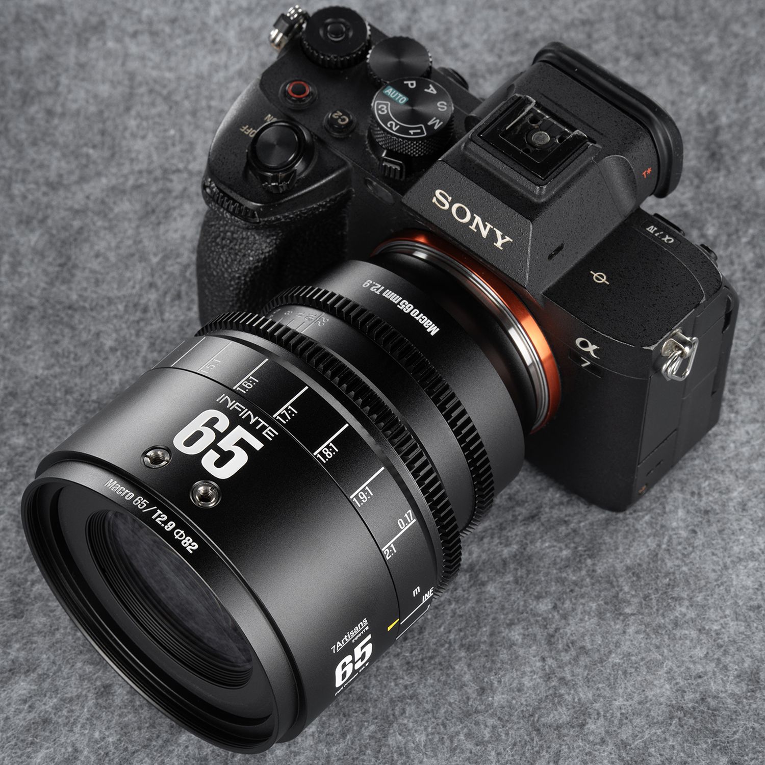 7Artisans Infinte 65mm T2.9 Macro 2X Sony FE (FF) - Foto Erhardt