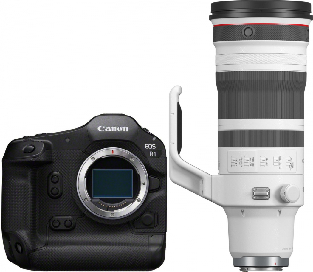 Canon EOS R1 + RF 100-300mm f2.8 L IS USM - Foto Erhardt