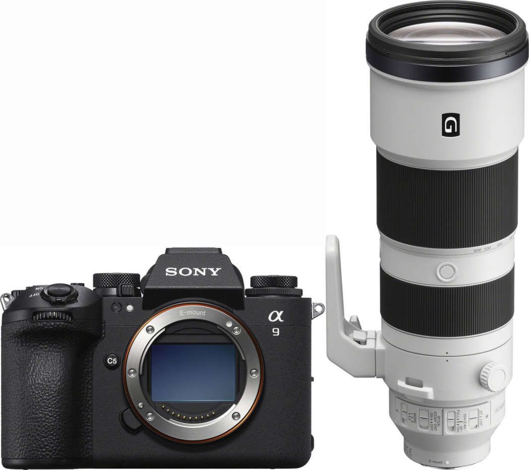 Sony Alpha ILCE-9 III + Sony SEL 200-600mm f5,6-6,3 - Foto Erhardt